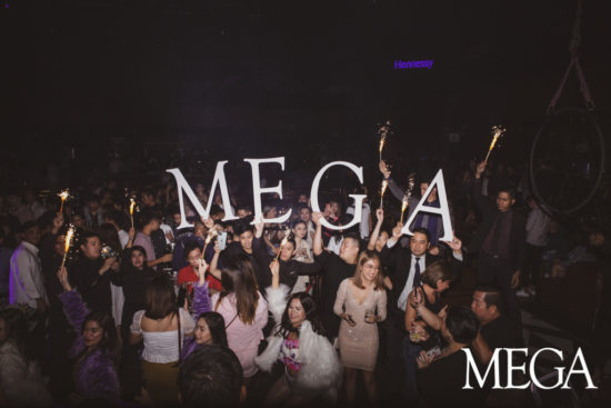 Here’s What Went Down At The MEGA Anniversary Party