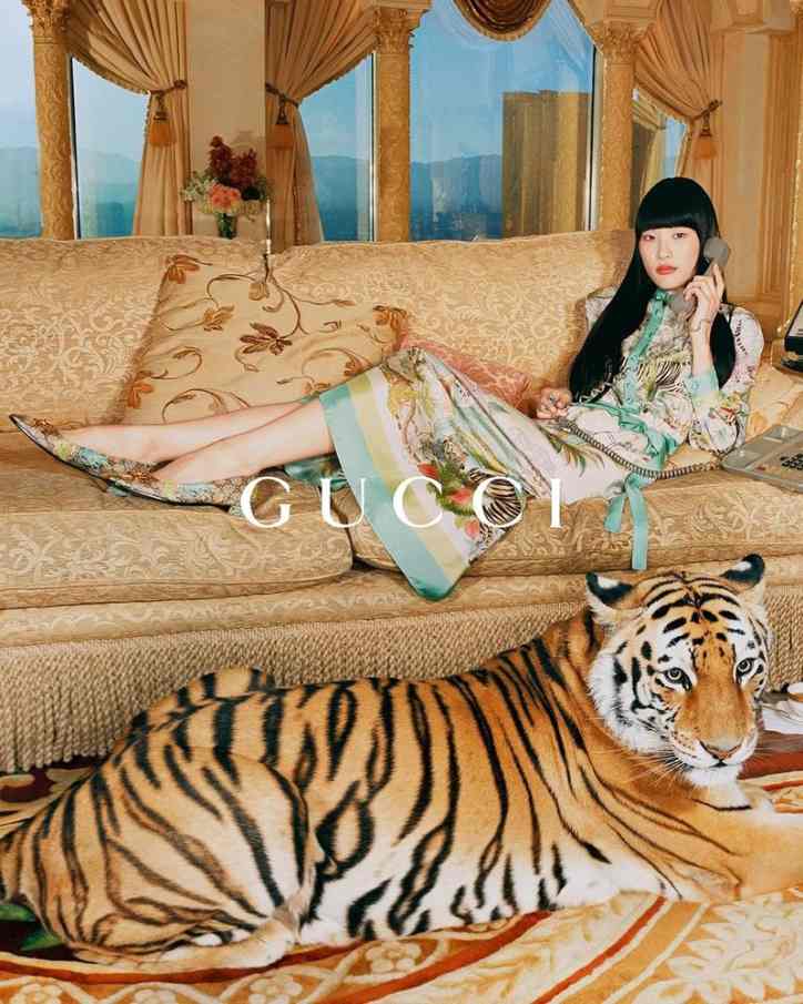 Tiger Designer Brand