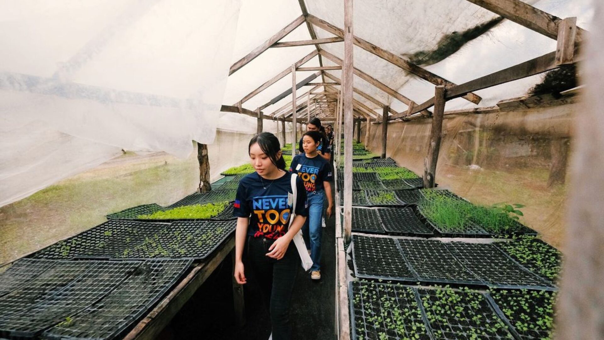 3 Environmental Organizations You Can Join in 2024